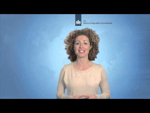 CBI - Export Manual