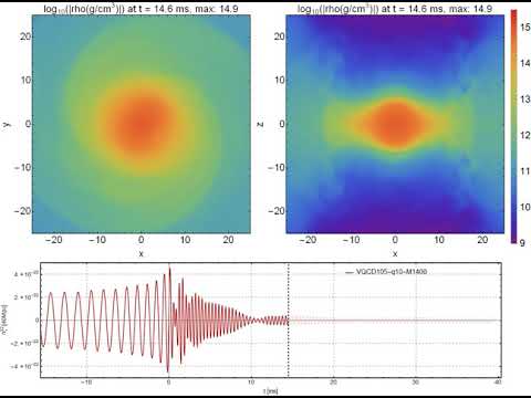 Holographic Neutron Star Merger at 1.3 solar masses