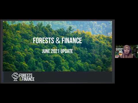 9 June 2021 Indonesian webinar (English translation)