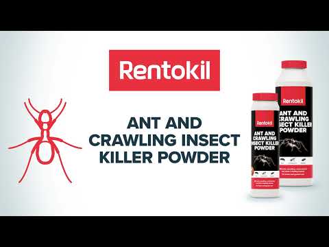 Rentokil DIY Ant and Crawling Insect Powder