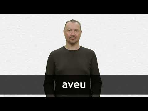 English Translation of “AVEU” | Collins French-English Dictionary