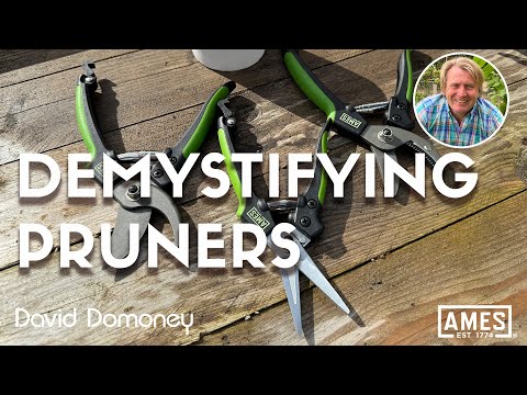 What is the difference between Bypass, Anvil, and Snips Pruners
