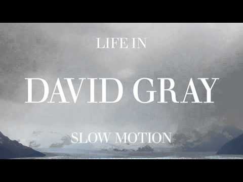 David Gray - "Hospital Food"
