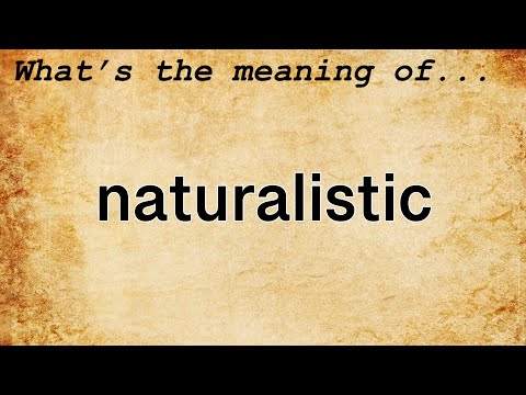 Naturalistic Meaning : Definition of Naturalistic