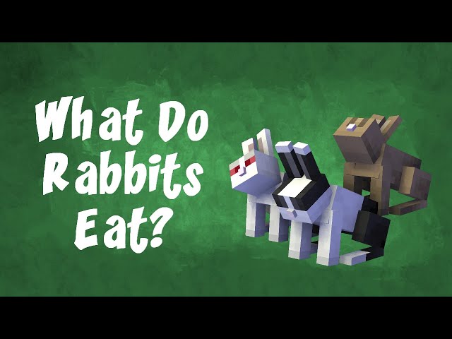What do rabbits eat in Minecraft: Everything you need to know