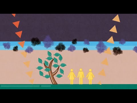 Science in 1 minute: What is the greenhouse gas effect?