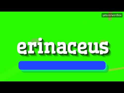 ERINACEUS - HOW TO SAY ERINACEUS?