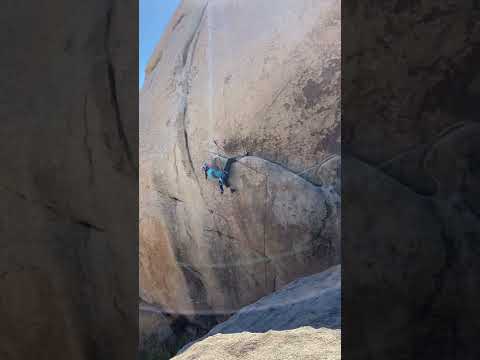 Bearded Cabbage 5.10c - Joshua tree