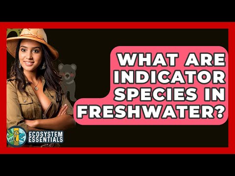 What Are Indicator Species In Freshwater? - Ecosystem Essentials