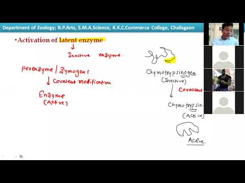 Regulation of enzyme in living system II