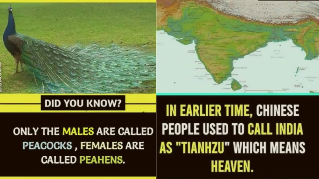 Memes Full Of Facts | Knowledge Memes | Psychology Facts Memes | Have You Know Memes | Amazing Facts