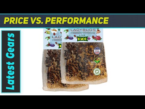 3000 Live Ladybugs! Effective Pest Control?