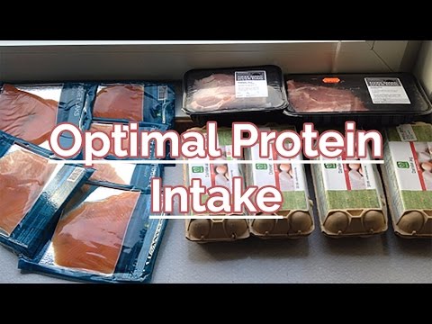 Optimal Protein Intake: How Much Protein Do You Really Need?