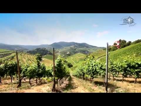 Hotel Engel Schwarzwald Appenweier (English version)