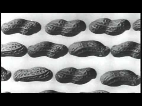 THE BIRDS AND BEES TALK from Douglas Keister's HEART-LAND