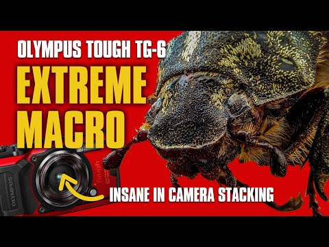 EPIC Macro results! | Olympus tg-6 FOCUS STACKING