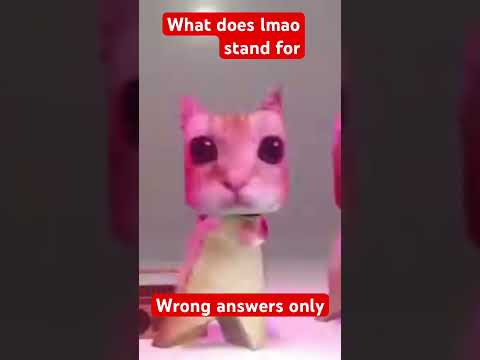 What does lmao stand for