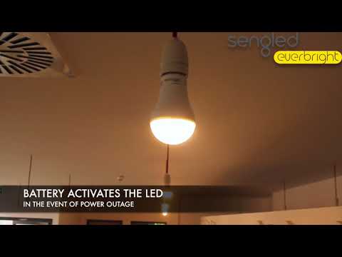 Sengled Everbright ENG