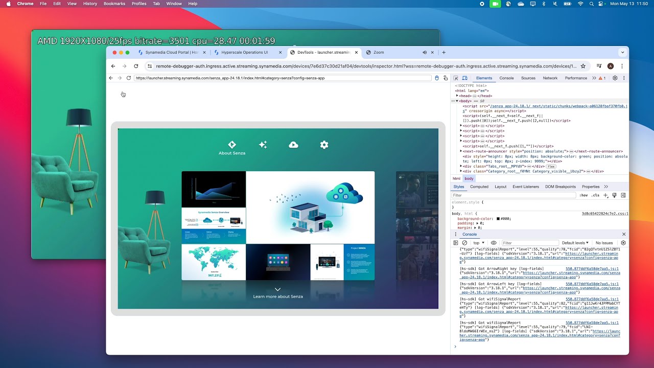 Using the Remote Debugger
