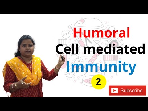 Immune response | Humoral and cell mediated immunity | Antibody dependent immunity