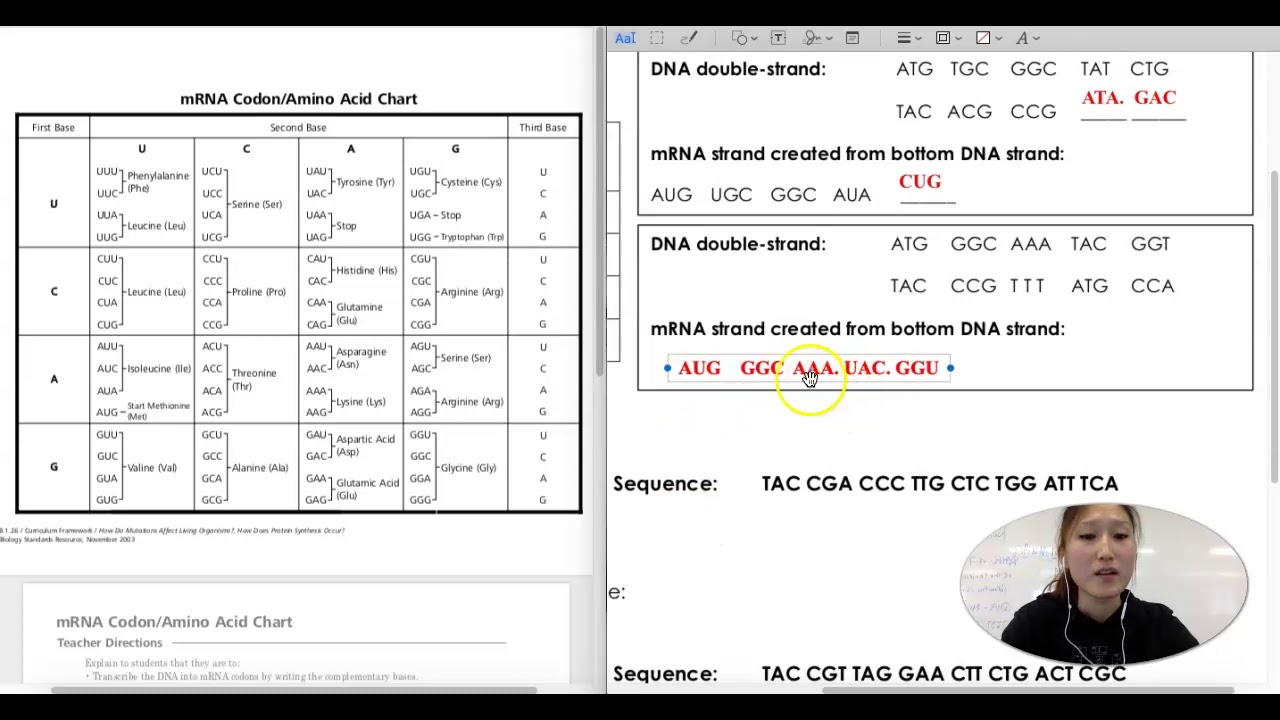 How to Read a Codon Chart Using Practice Problems