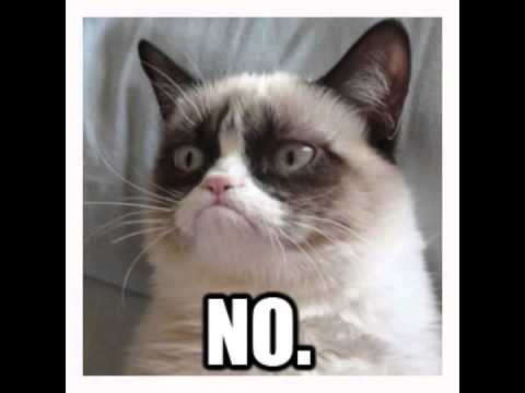 Some grumpy cat pictures! lol