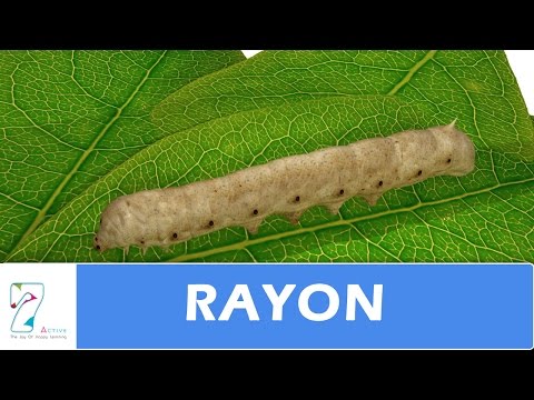 Rayon Video Lecture - Class 8