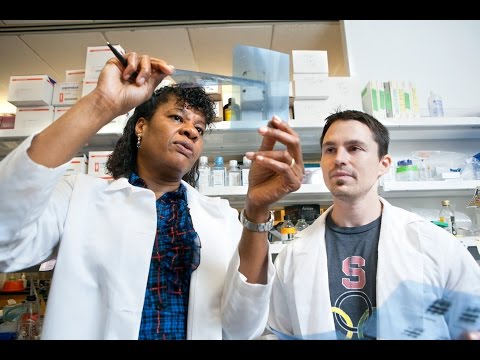 Biological and Biomedical Sciences Graduate Program