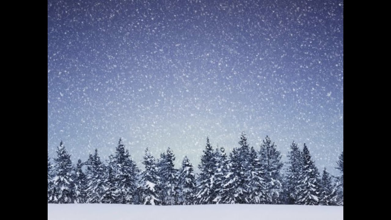 Science as Process and Perspective – 08. Process Thinking