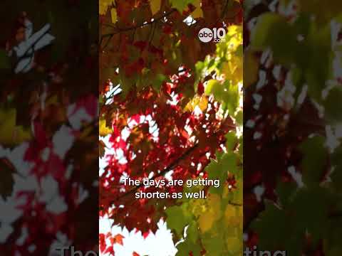 Fall weather is here in Northern California | CA Water & Weather #shorts