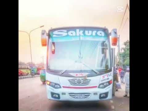 Sakura paribahan bus logo and bus photos