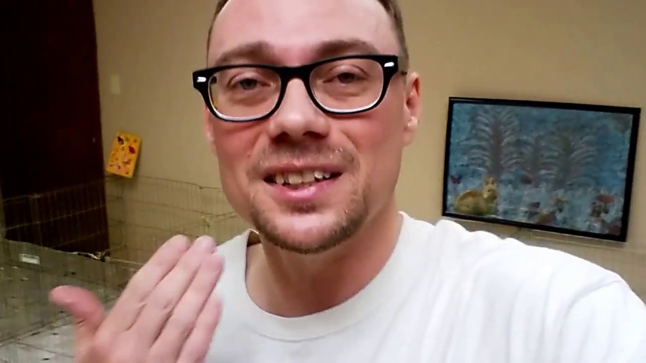 Rabbit Adoption Center