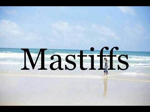 How To Pronounce Mastiffs🌈🌈🌈🌈🌈🌈Pronunciation Of Mastiffs