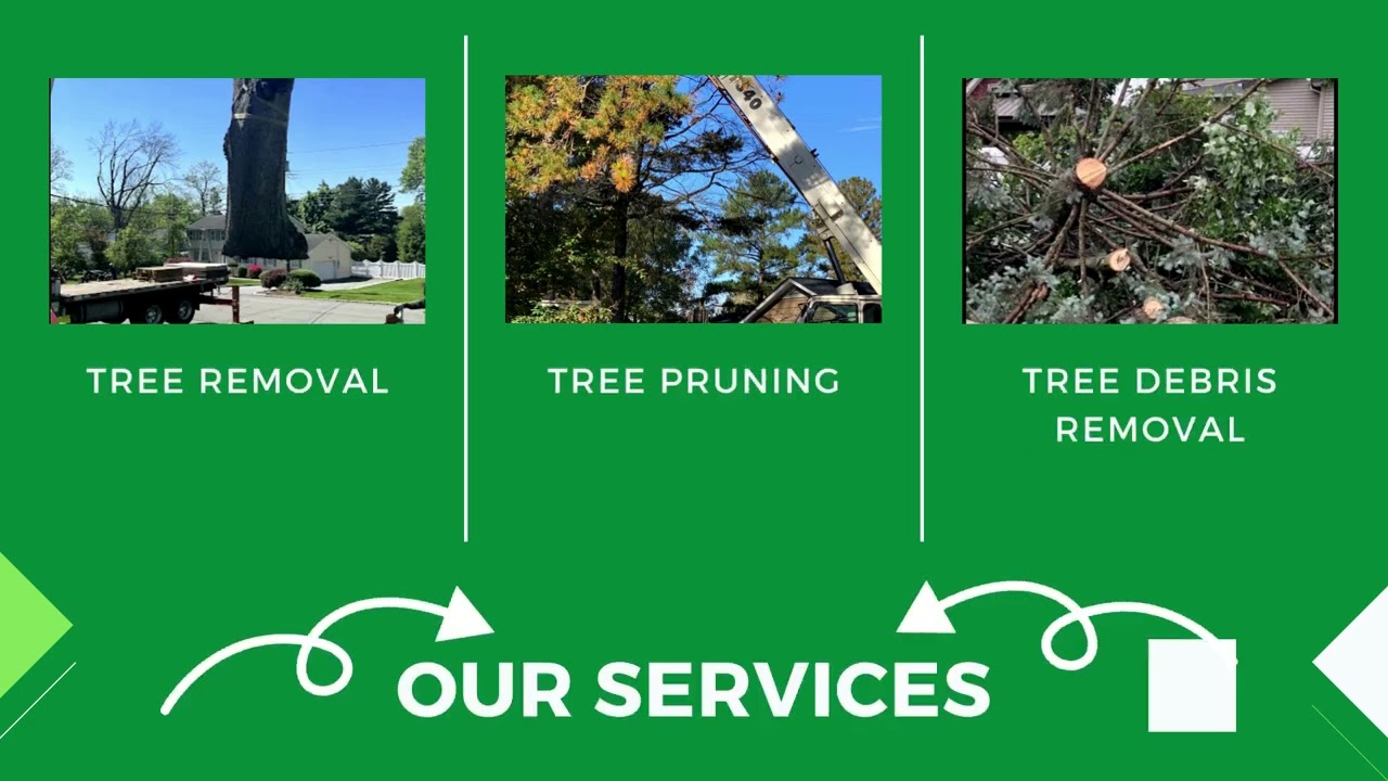 Robert's Tree Service