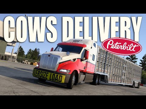 PETERBILT 387. ATS 1.47. Cattle Trailer. Delivery To Airport. MOD GAMEPLAY.
