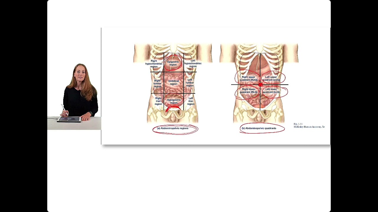 Introduction to Clinical Anatomy