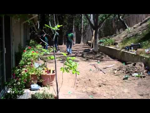 JC Landscaping (NOW BLUE STREAM) Gives Larry's Yard a Make-Over!.mp4