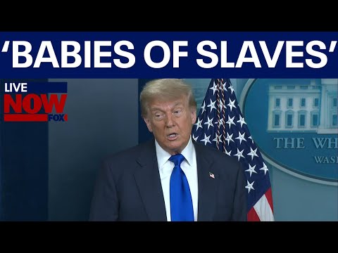 FULL: Trump birthright citizenship remarks "Meant for babies of slaves