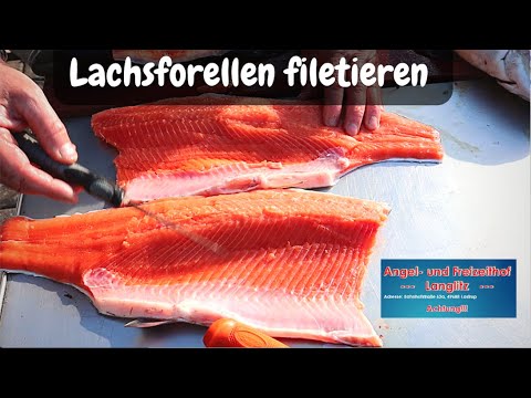 Forelle filetieren Lachsforelle Fisch filetieren Angelhof Langlitz Forellenangeln