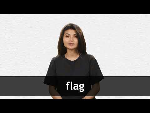 How to pronounce FLAG in American English