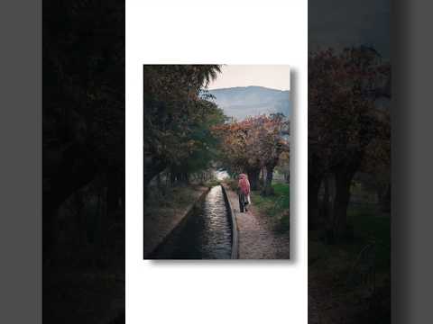 Photoshop Tutorial Ai firefly adobe #trendingshorts #neerajnsv