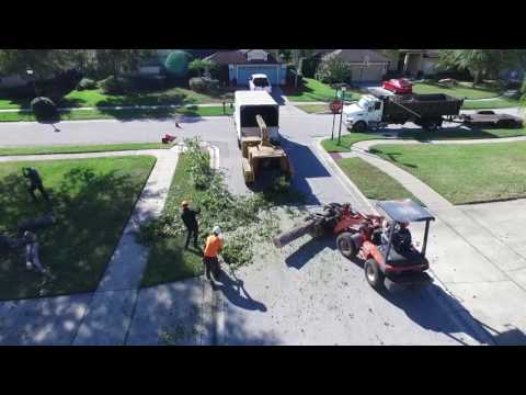 Kevin's Tree Service - Oviedo, Florida