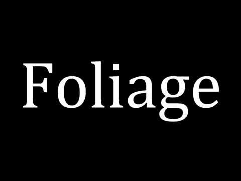 How to pronounce Foliage