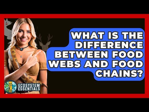 What Is The Difference Between Food Webs And Food Chains? - Ecosystem Essentials