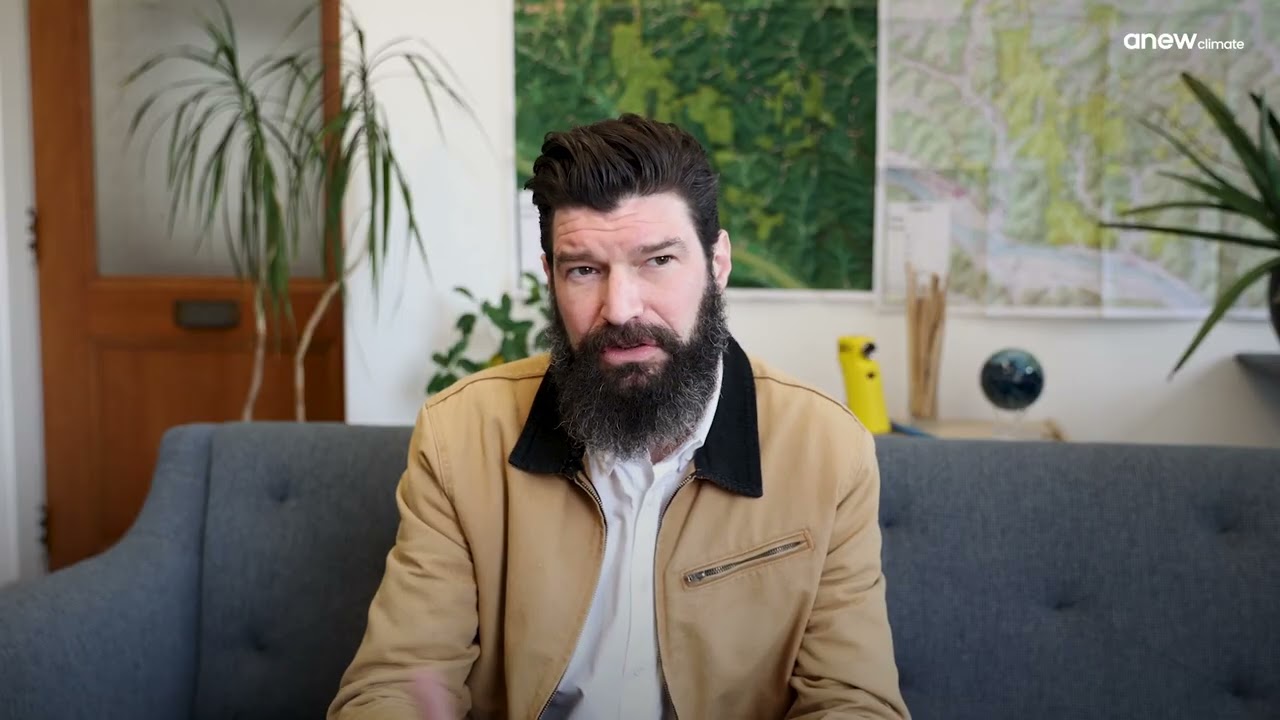 What is Improved Forest Management (IFM)? | Carbon Explained