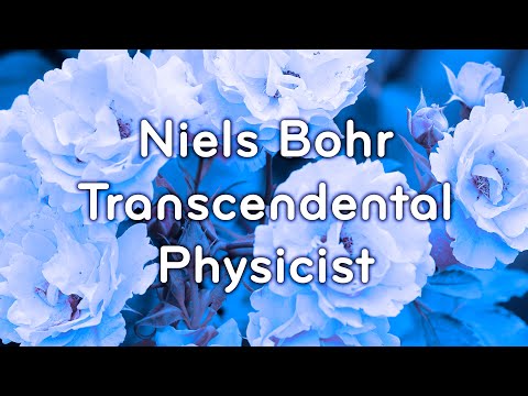 Niels Bohr Transcendental Physicist | Thomas Ryckman | Philosopher