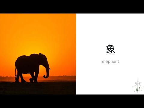 Elephant (象) | S4E239 | OWAD Learning Mandarin Chinese