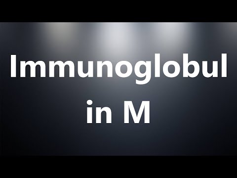 Immunoglobulin M - Medical Definition and Pronunciation