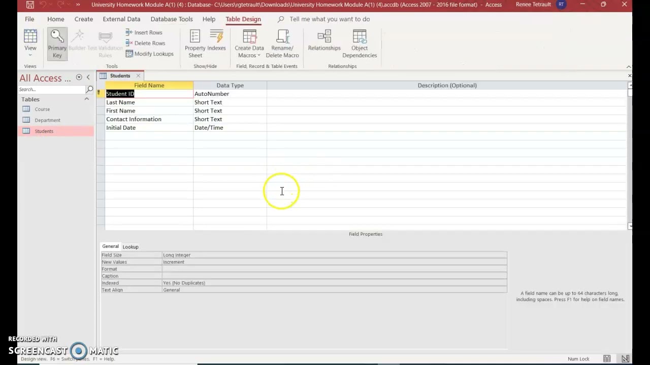 Databases Module A - Homework 1