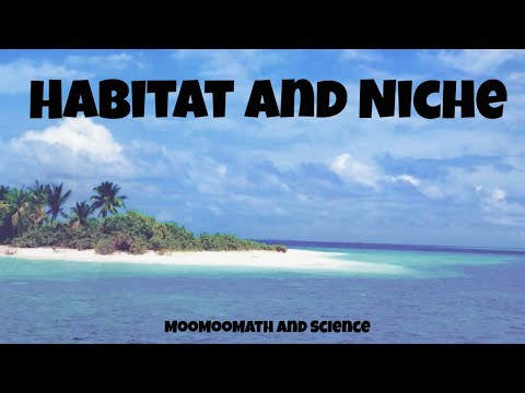 Difference between habitat and niche - ecology